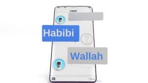 What Does Habibi Mean? Definition, Usage, and Cultural Context