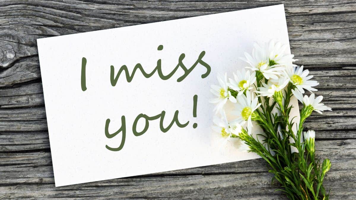 IMY Meaning: What It Stands For and How to Use It